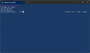 Ollama: ローカルPCでLLMを動かしてみる！ – codemajinのえんとろぴぃ